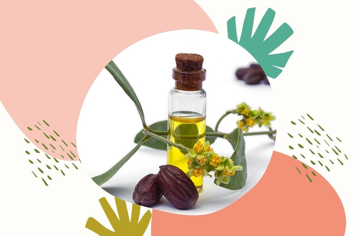 Olejek jojoba - zastosowanie w pielęgnacji skóry i włosów